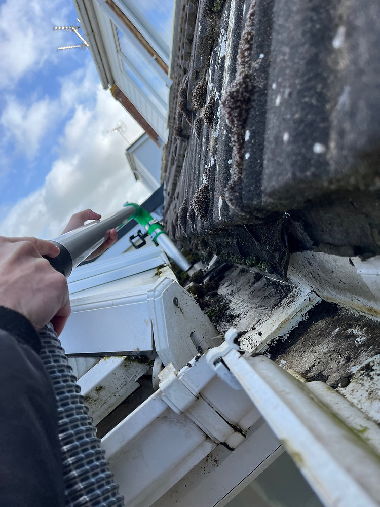 Conservatory Gutters Empty and Cleaned Plus Windows and Frames Deep Cleaned