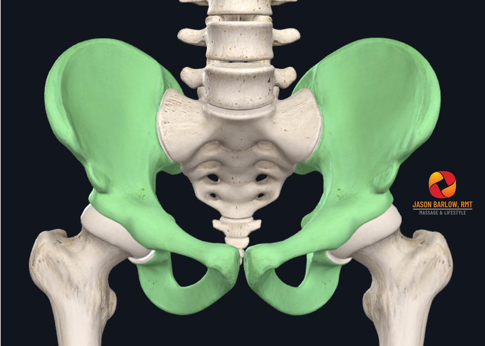 WARNING: here's what every back pain sufferer needs to know about the ...