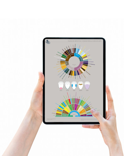 Defects Wheel Portugues A3 | Beat Coffee