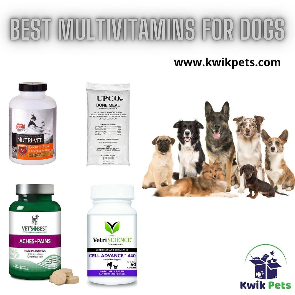 What Are Recommended Multivitamins For Dogs?