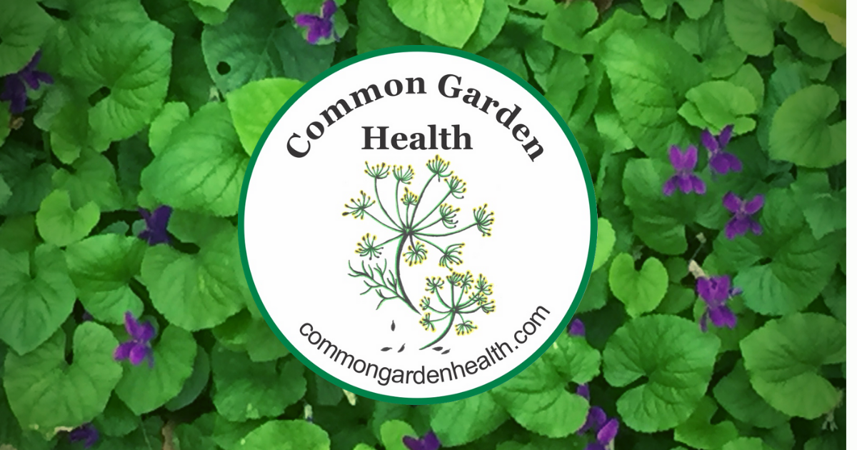 DIY Guides | Common Garden Health