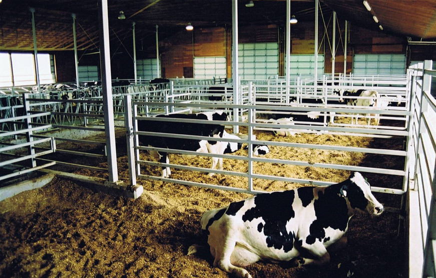 About Us | Dicklands Biogas