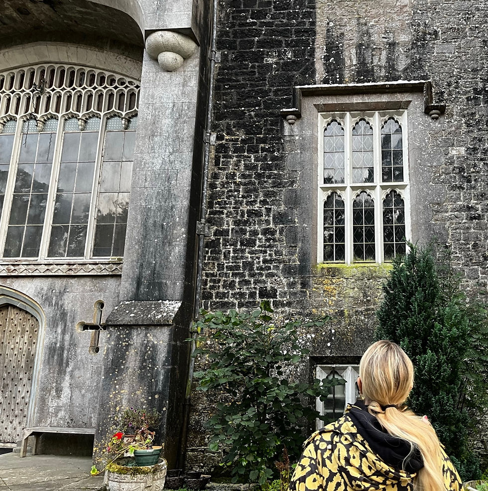 Charleville Castle Unveiled: From Gothic Grandeur to Ghostly Residents ...