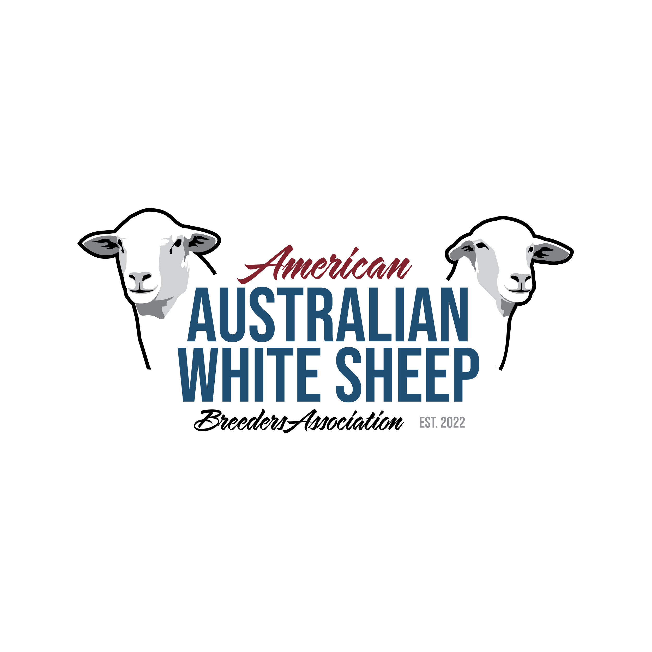 MEET THE BOARD | American Australian White Sheep Breeders Association