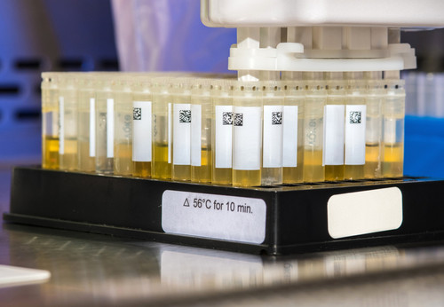 Polygum EXA-179 USP-NF Polygal AG | BSC Distributors