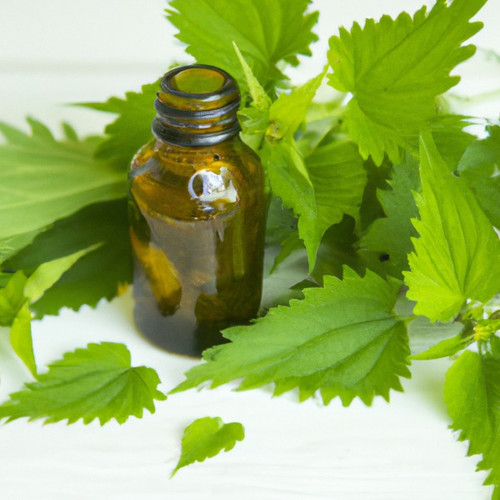 Nettle Extract | BSC Distributors