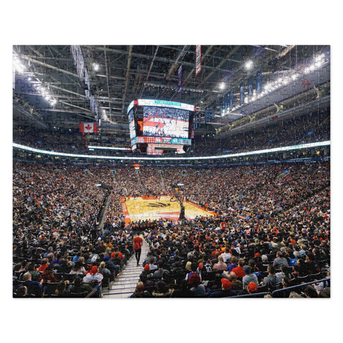 Toronto Raptors 2018 Puzzle | Stadium Vagabond OLD