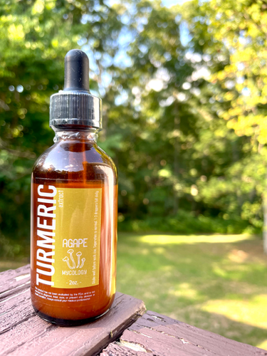 Turmeric Extract & Piperine (2oz) | Agape Mycology