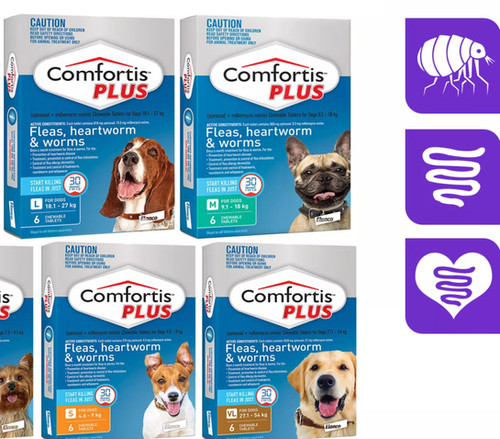 Comfortis Plus - Worming for Dogs - ELANCO | Bringelly