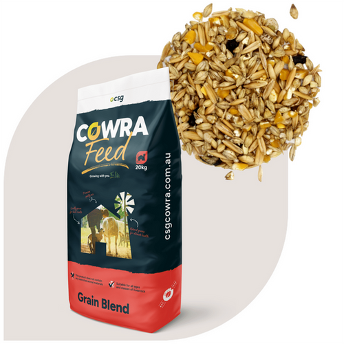 Grain Blend + Molasses - 20kg - CSG | Bringelly Pet and Stockfeed Supplies