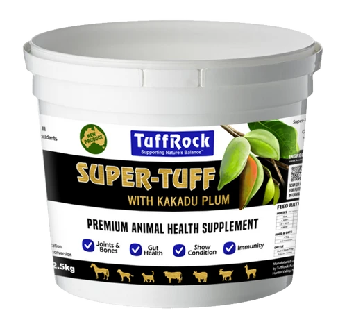 Super-Tuff 2.5kg-TUFFROCK | Bringelly