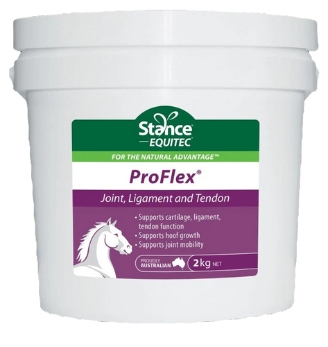 Equitec Pro-Flex-STANCE | Bringelly