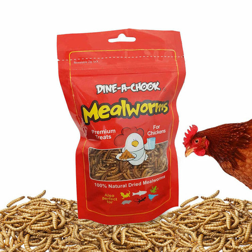 Dried Mealworms- DINE A CHOOK | Bringelly