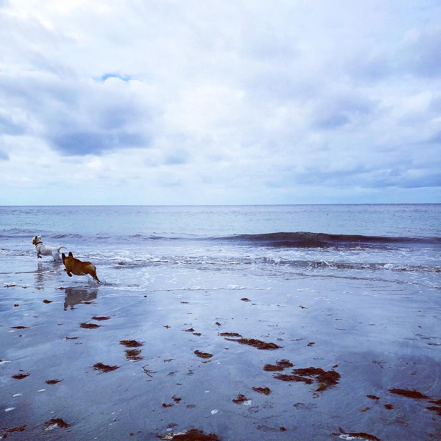 View images of South Uist