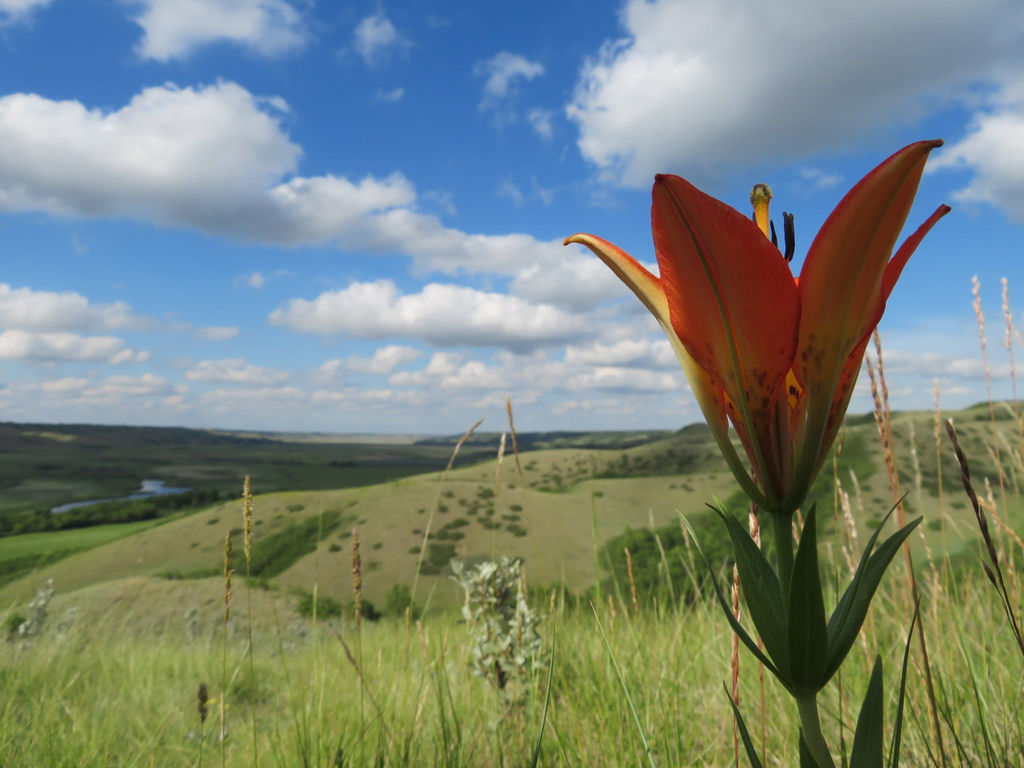 Hidden Valley | Nature Regina