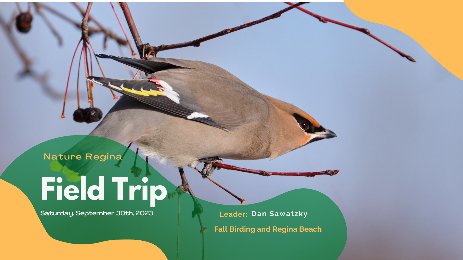 Fall birding at Regina Beach | Nature Regina