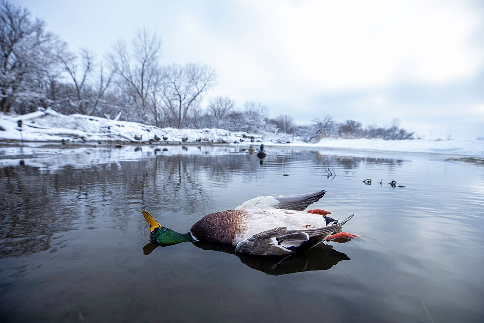 River Lodge Outfitters | Hunting Lodge | Nebraska Duck Hunting