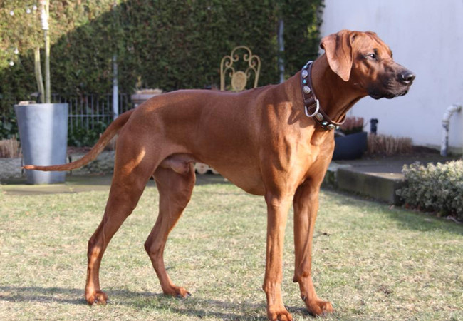 Friends & Links | Meinewebsite 5