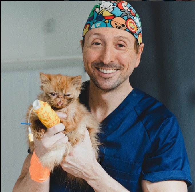 Laryngeal Paralysis in Cats