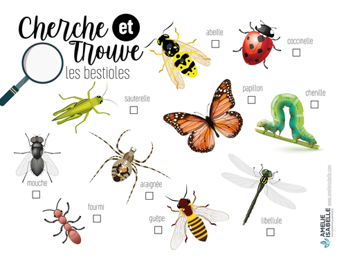 CHERCHE ET TROUVE - Les bestioles | amelieisabelle