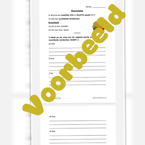 Homonieme en Homofone Werkkaart | Cs Summaries