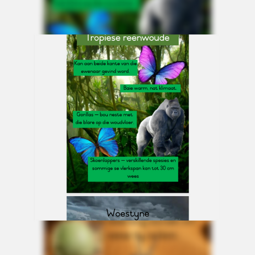 Geografie plakkate Graad 6 Kwartaal 3 | Cs Summaries