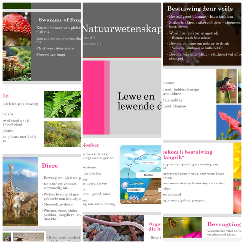 Natuurwetenskap PowerPoint graad 7 Kwartaal 1 | Cs Summaries