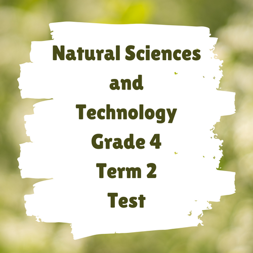 Natural Sciences and Technology Grade 4 Term 2 Test | Cs Summaries