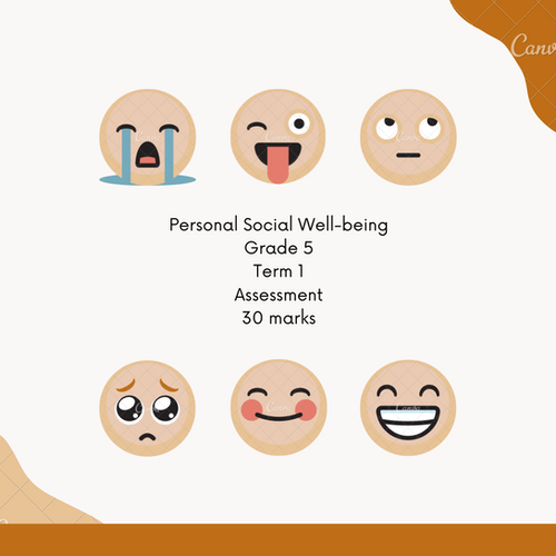 PSW grade 5 Assessment term 1 | Cs Summaries