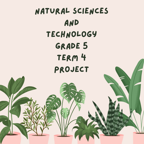 Natural Science and Technology Grade 5 Term 4 Project | Cs Summaries