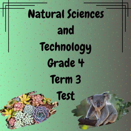 Natural Science and Technology Grade 4 Term 3 Test | Cs Summaries