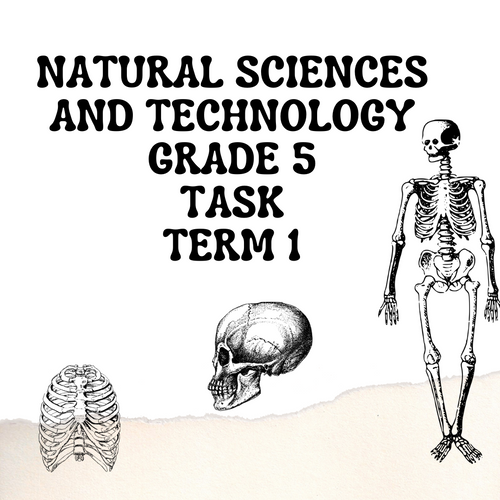 NST grade 5 Term 1 Task | Cs Summaries