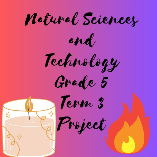 Natural Sciences and Technology Grade 5 Term 3 Project | Cs Summaries
