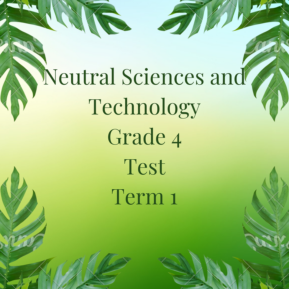 Natural Science and Technology Test Grade 4 Term 1 | Cs Summaries