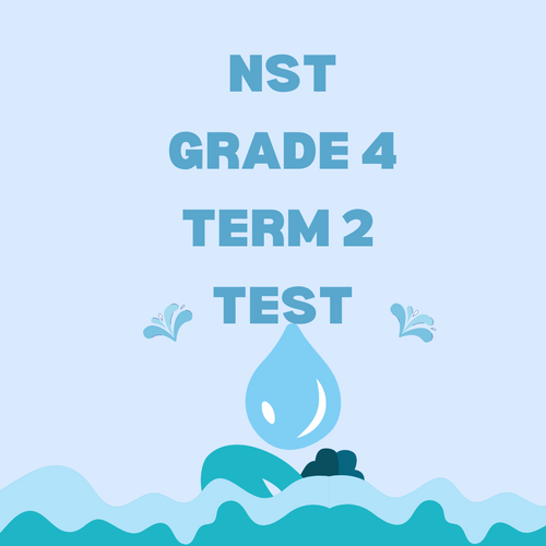 Natural Science and Technology Grade 4 Term 2 test | Cs Summaries