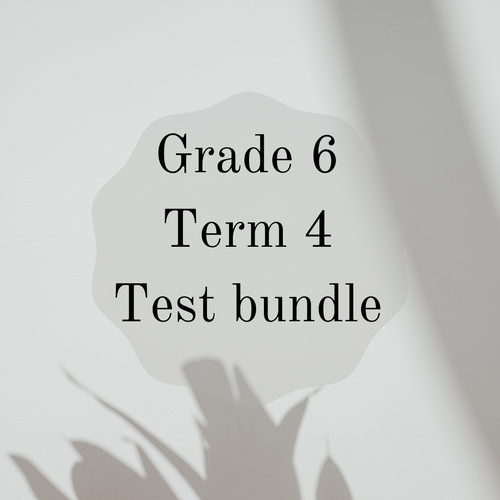 Grade 6 Term 4 Test bundle | Cs Summaries