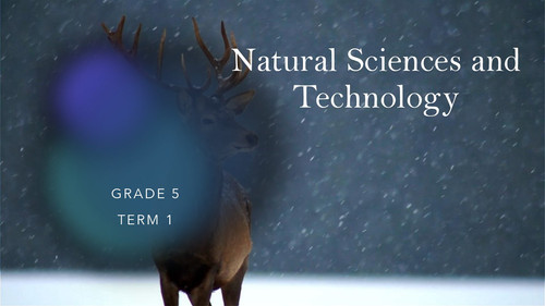 Natural Science and Technology Grade 5 Term 1 PowerPoint | Cs Summaries