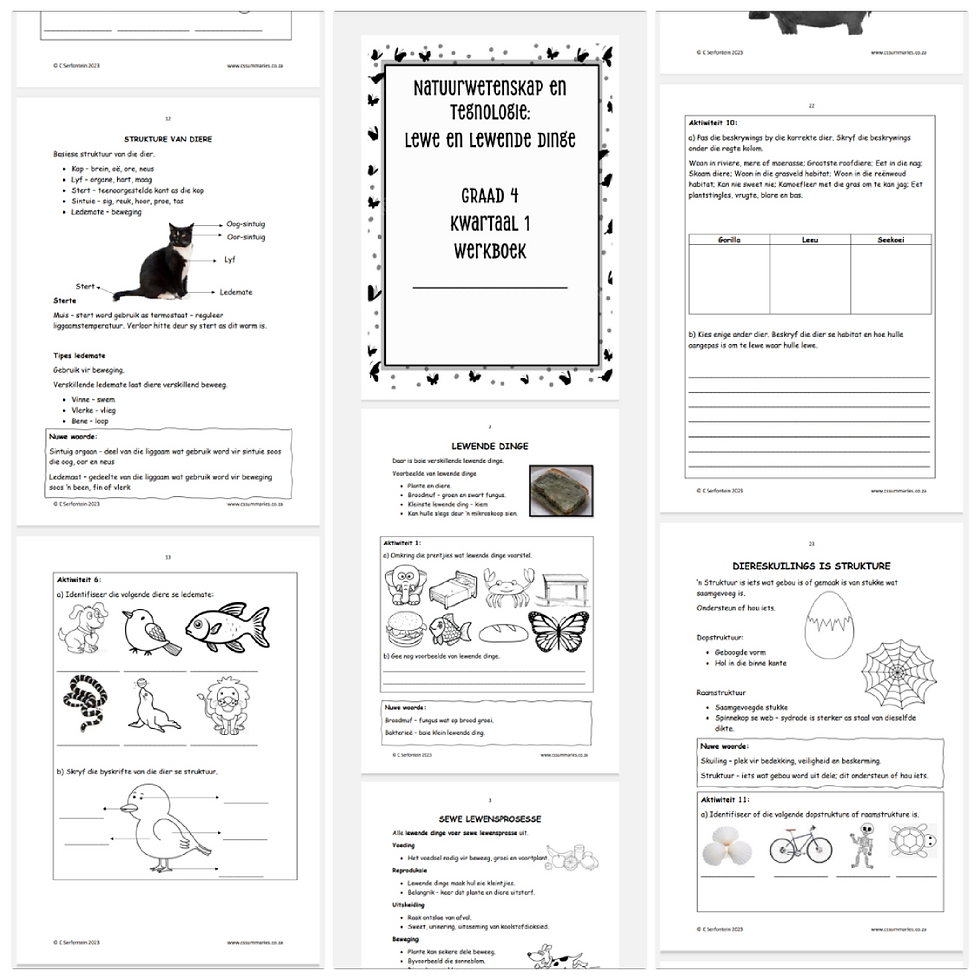NST term 1 + 2 | Cs Summaries