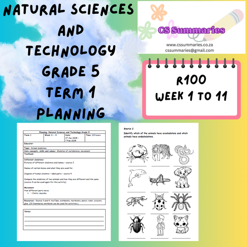 Natural Sciences and Technology Grade 5 Term 1 Planning | Cs Summaries