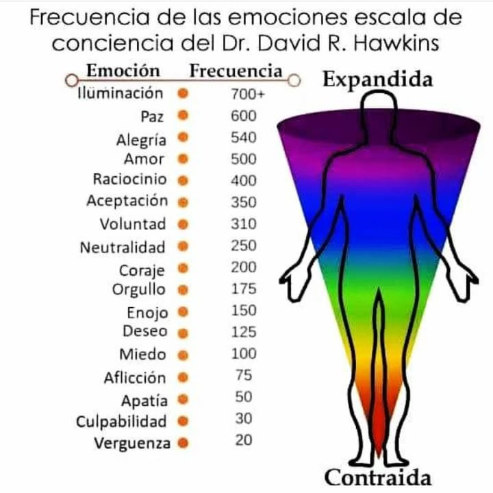 La escala de conciencia del Dr. Hawkins