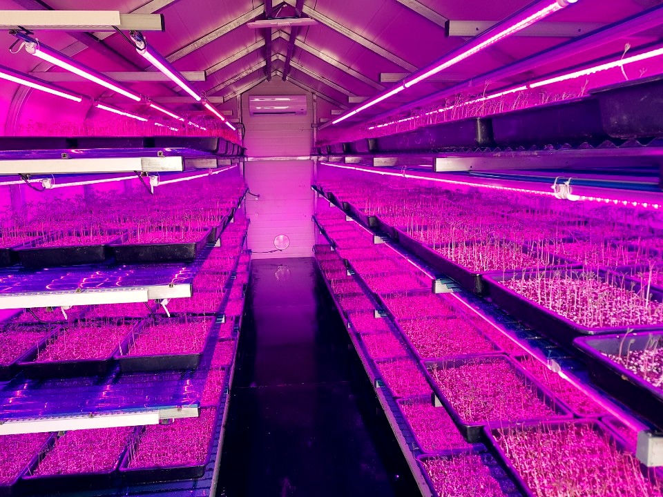 LED Tube Vertical Farming | Cylon Engineering Ltd.