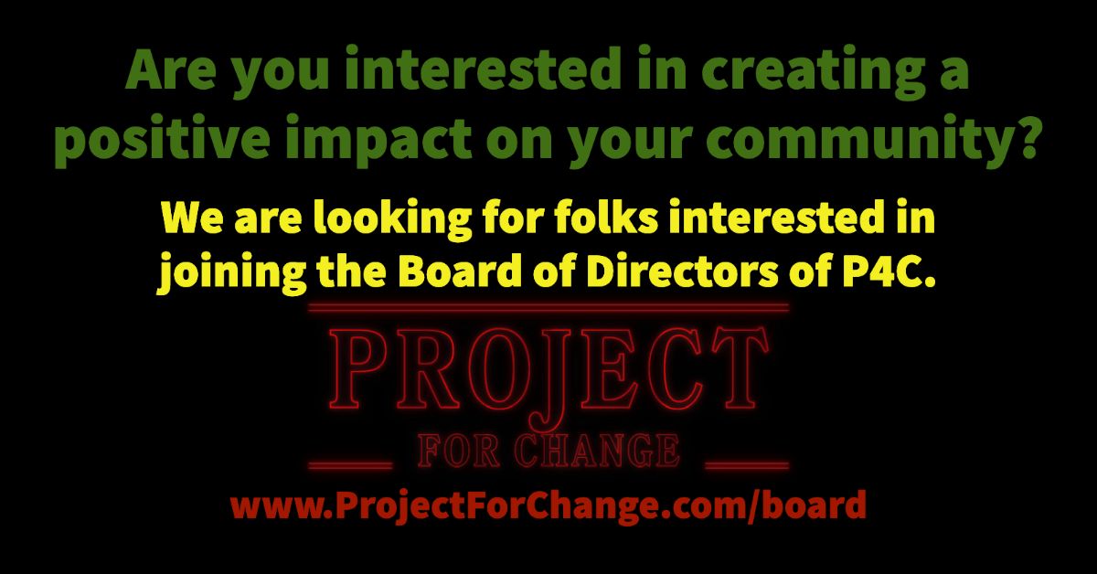 Director Board | Project For Change