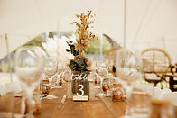 Home | Teata Collective