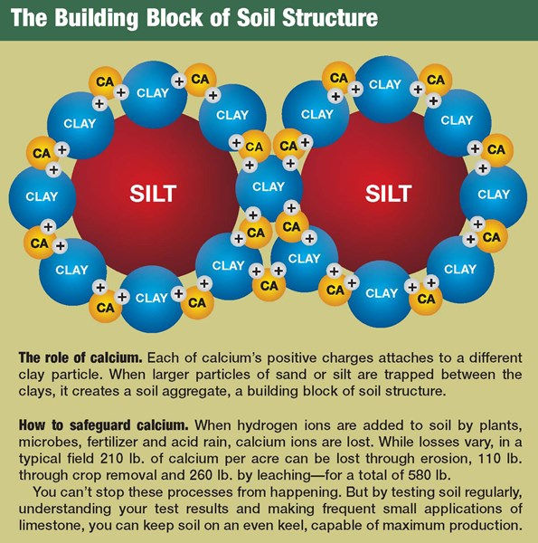 Soluble Calcium for Stronger Plants | EarthMix Garden Products ...