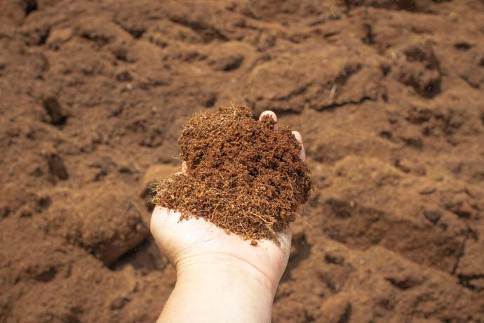 How to Use Coconut Coir | EarthMix Garden Products