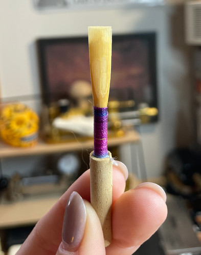 Student Oboe Reed | Reeds by Suze