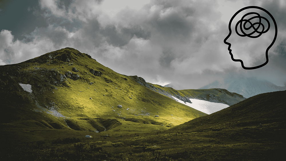 How Extreme Challenges Shape Resilience: Insights from a 25-Day ...