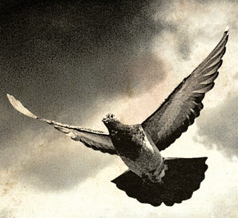 'TFB' CAST and CREW | thefightersballad