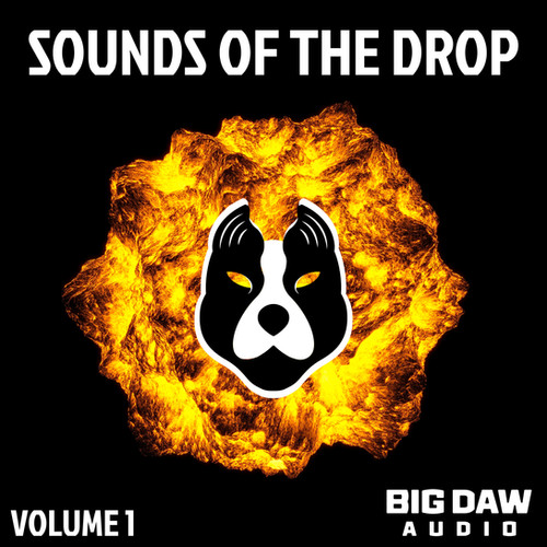 Sounds of the Drop (Vol. 1) [FREE w/ Plugin Purchase] | Big DAW Audio