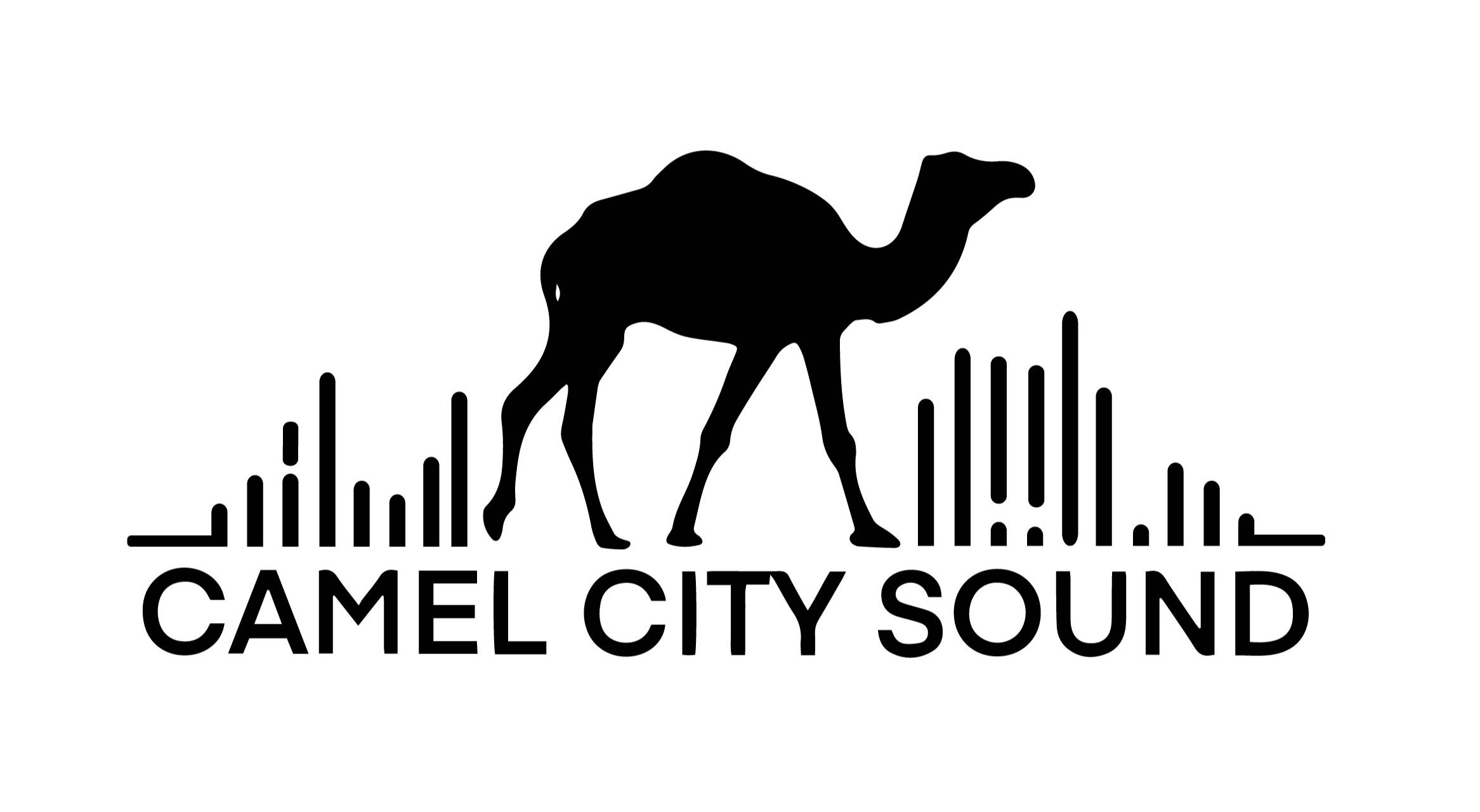 Global Audio Solutions | Camel City Sound